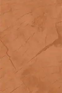 Botera Cannabis Education - Botera Dispensary NJ